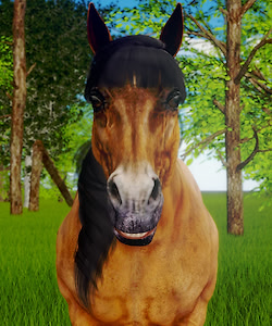 Horse | vndb