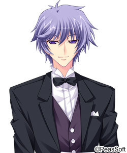 Kimi o Aogi Otome wa Hime ni | vndb