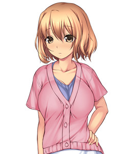 Parameter Remocon | vndb