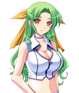 Todoroki Miwa | vndb