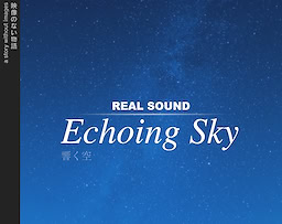 Real Sound: Echoing Sky | vndb