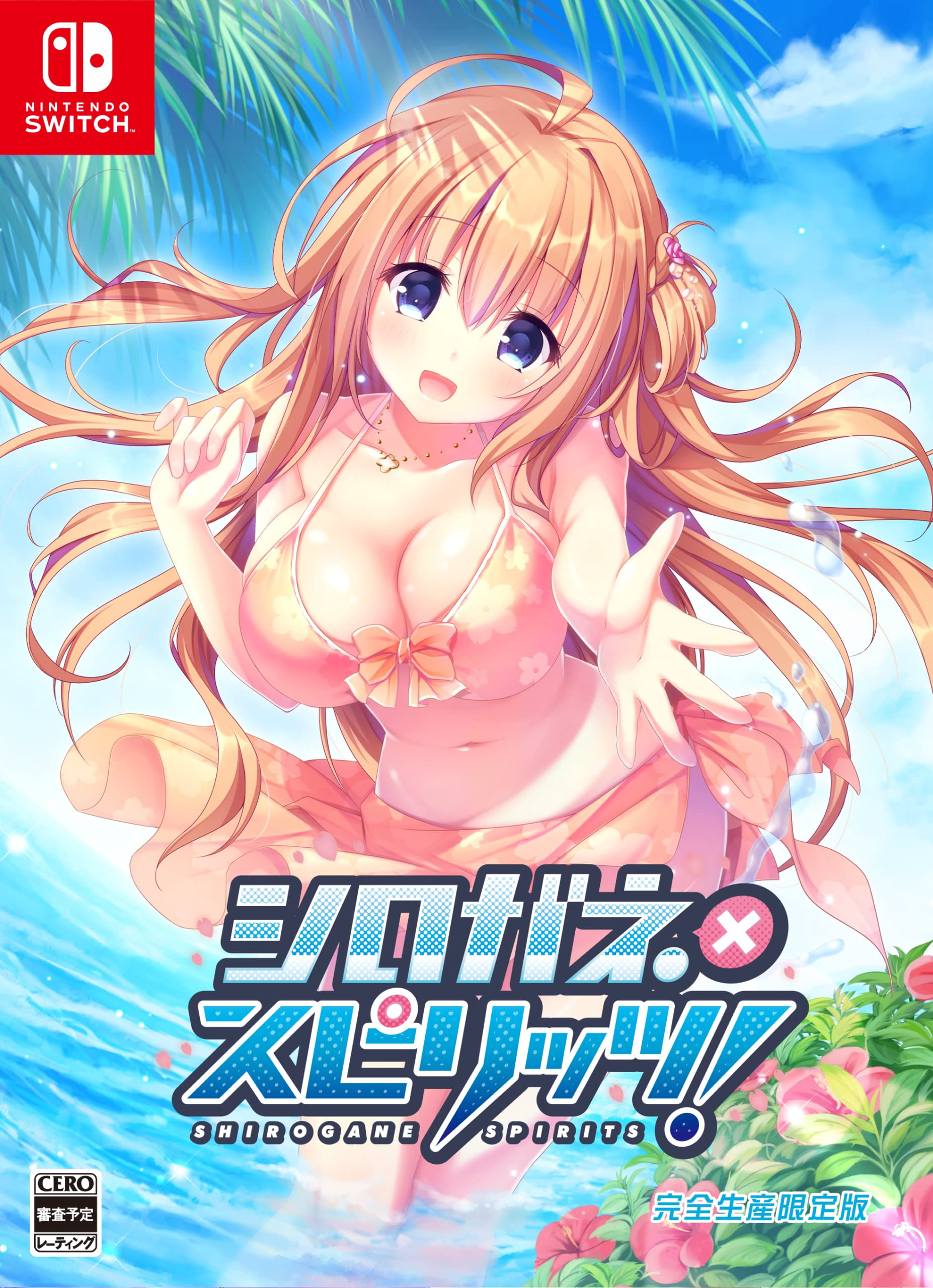 Shirogane x Spirits! - First Production Limited Edition | vndb